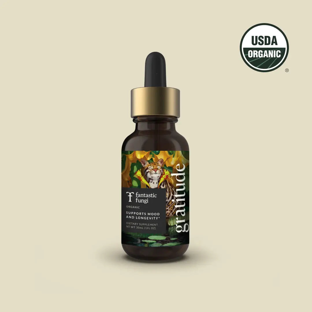 Gratitude Elixir | Fantastic Fungi
