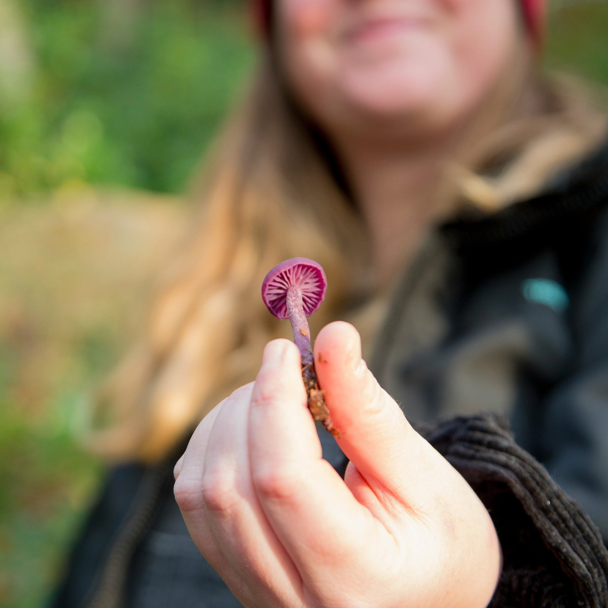 12 Sustainable Foraging Tips for Beginners
