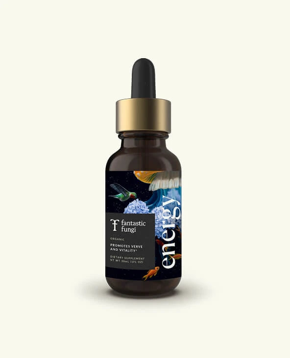 Mushroom Elixirs, Extracts and Drops from Fantastic Fungi