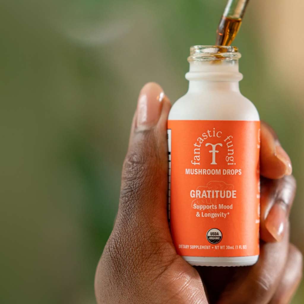 Fantastic Fungi Curated