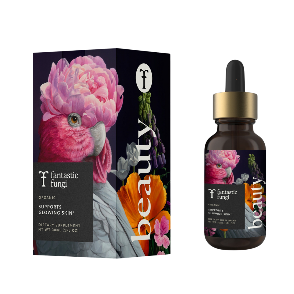 The Limited-Edition Forager Box