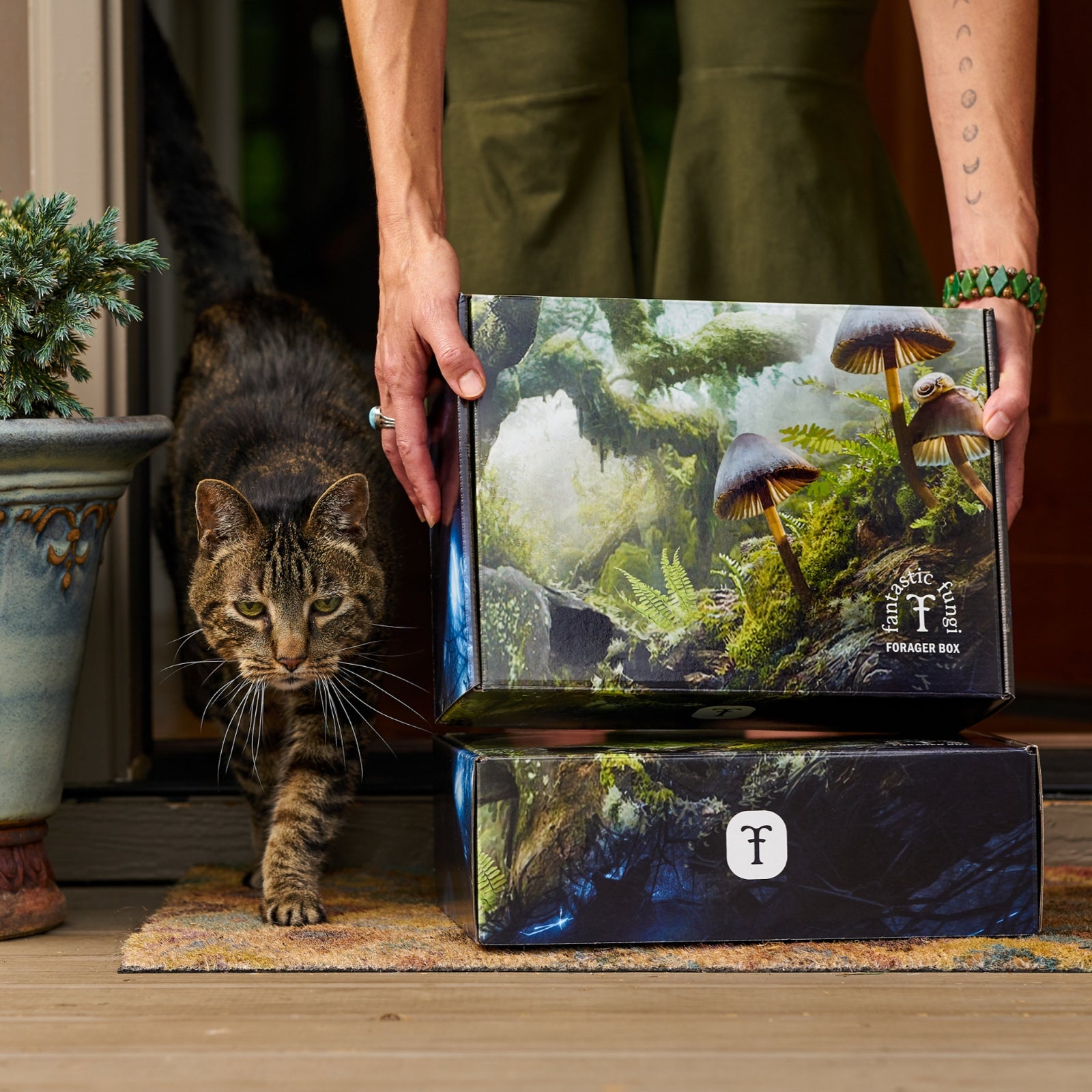 The Limited-Edition Forager Box