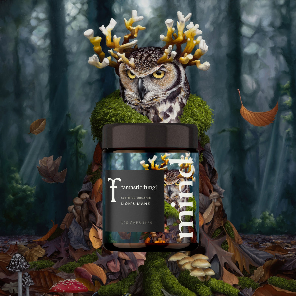 Fantastic Fungi Mind Capsules