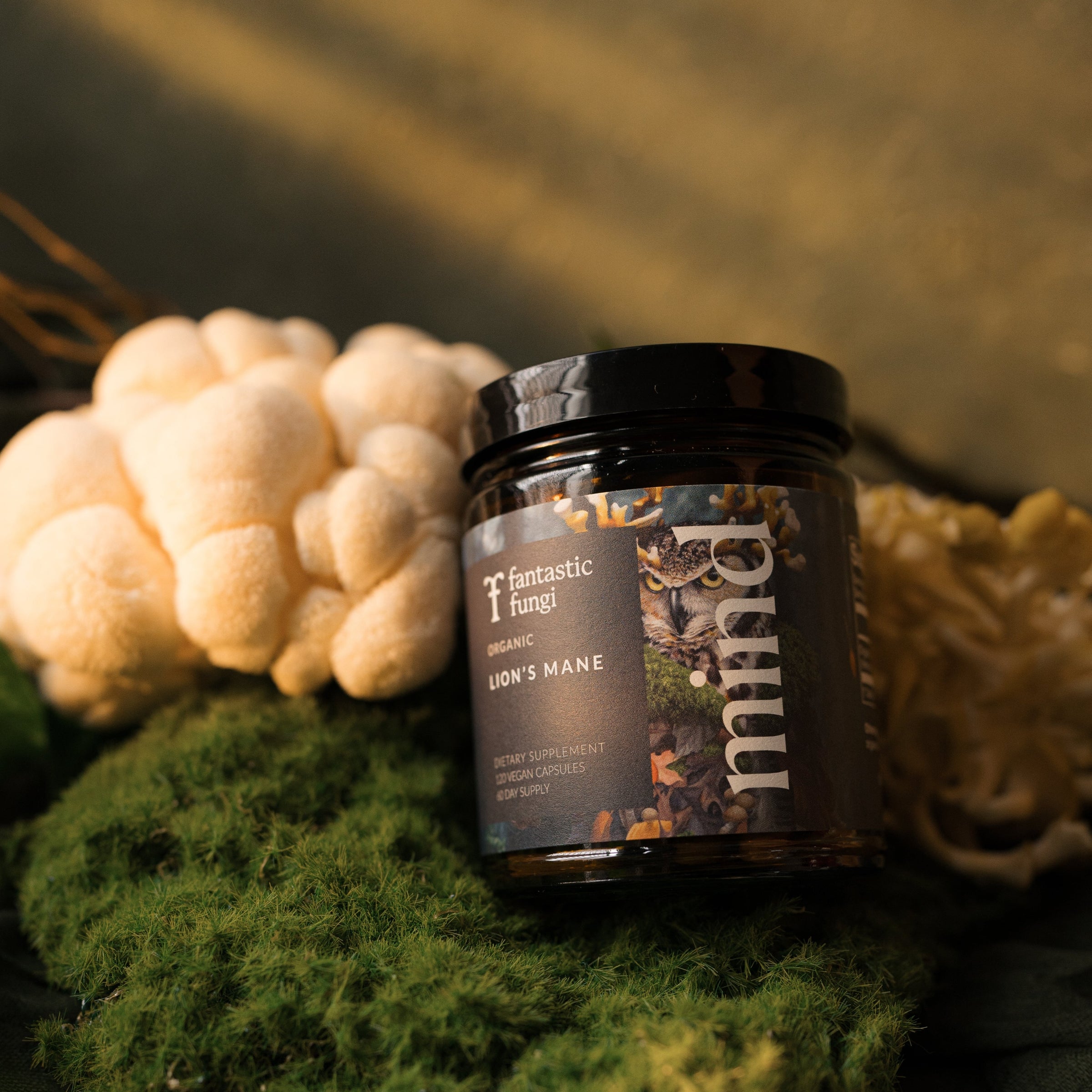 Fantastic Fungi Mind Capsules