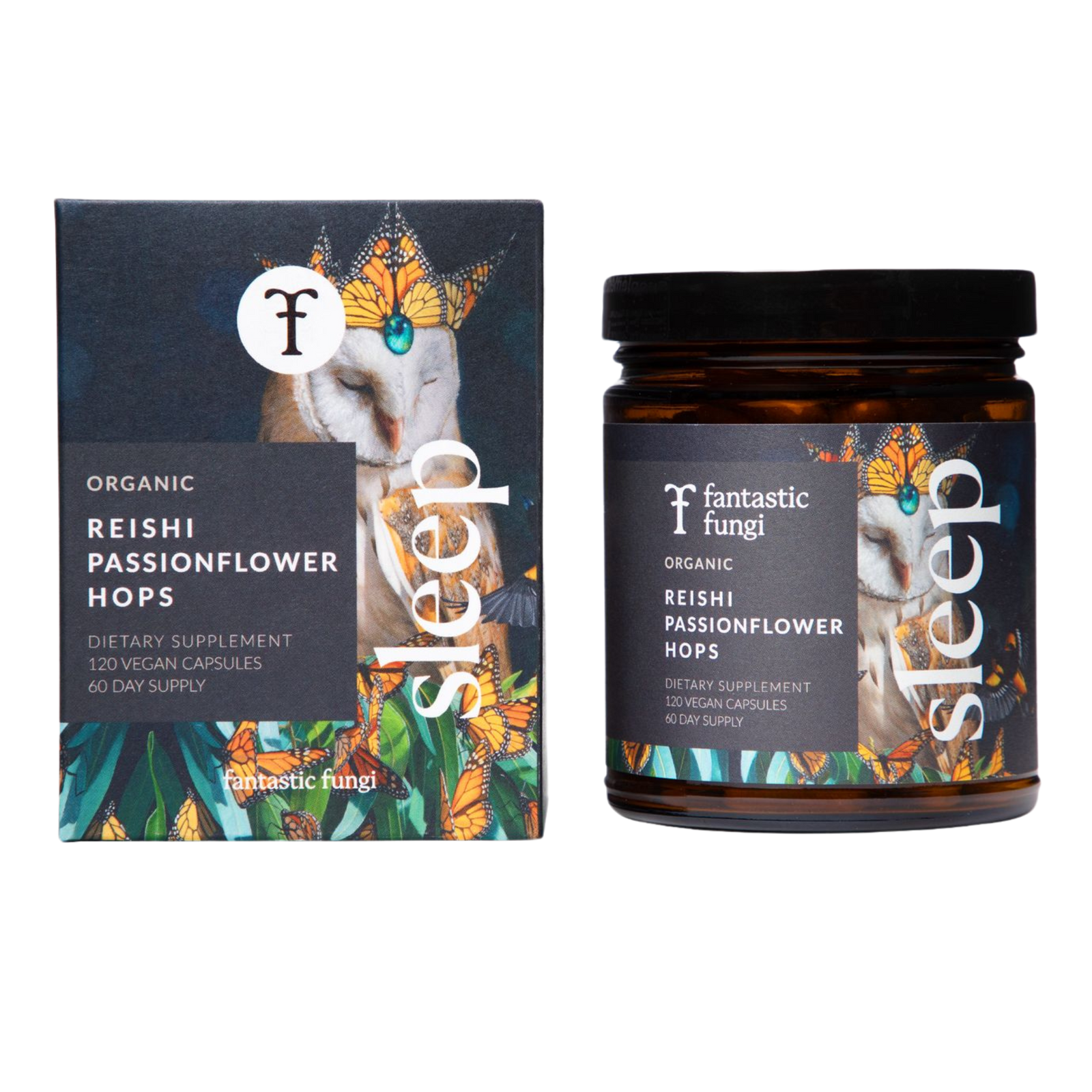 The Limited-Edition Forager Box