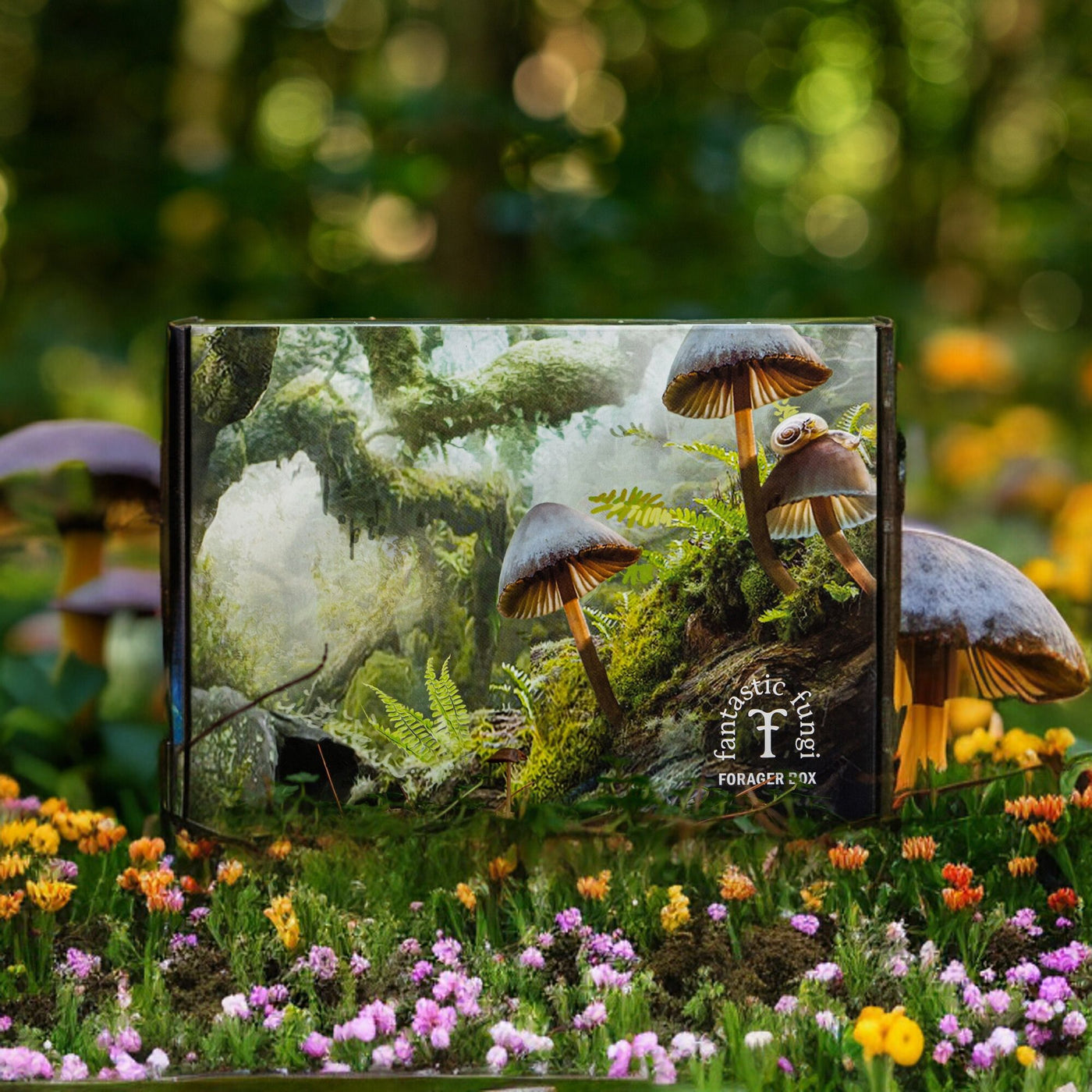 The Limited-Edition Forager Box