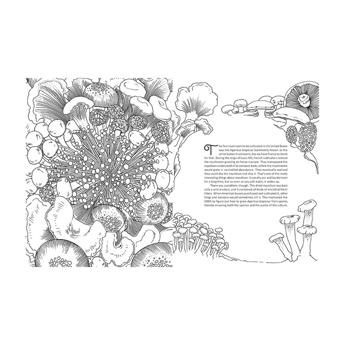 Fantastic Fungi Coloring Book